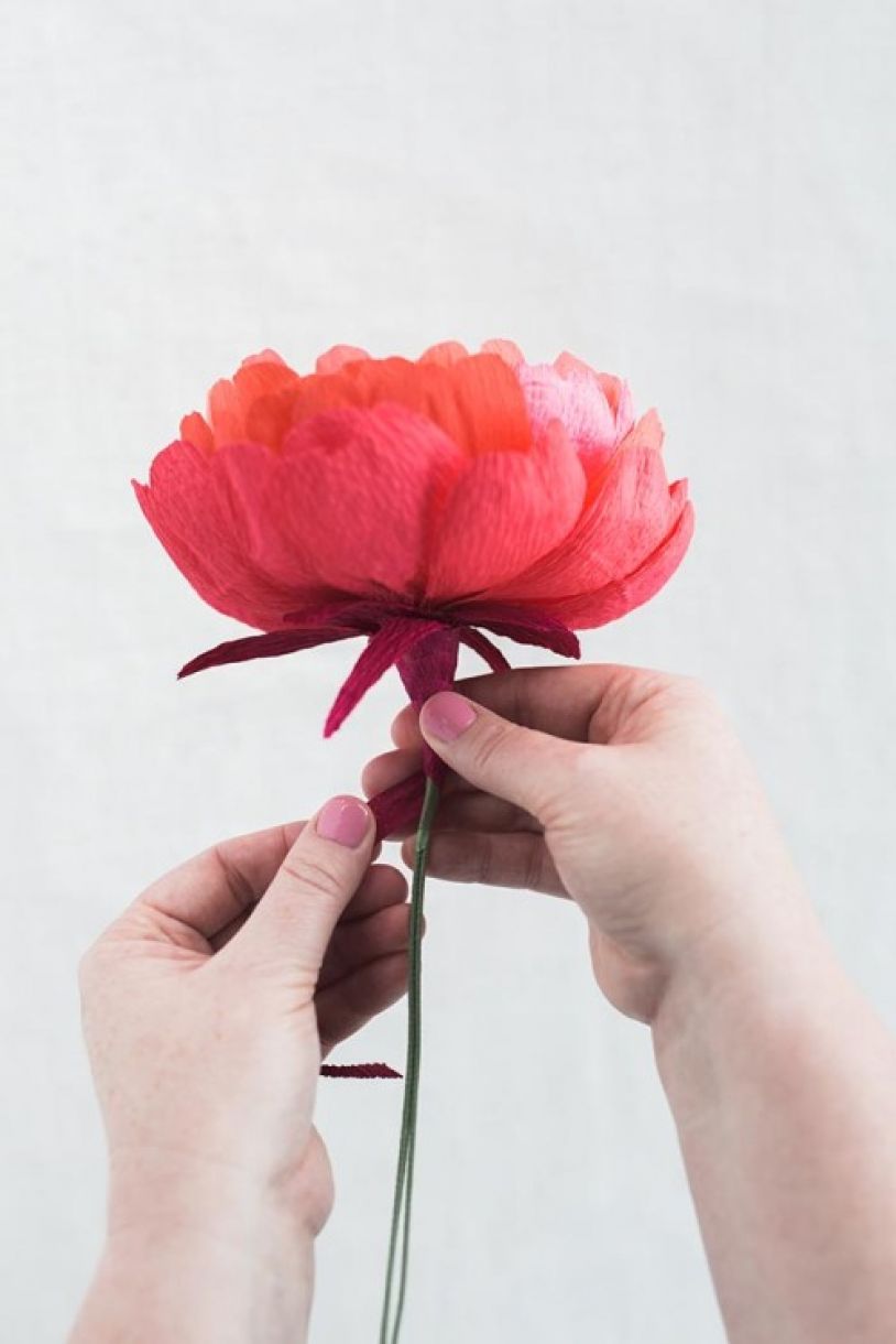 Paper Flowers - Make a Peony
