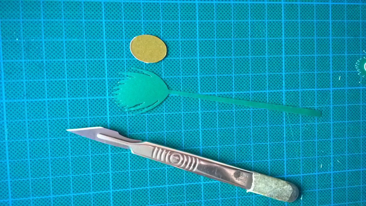 How to make a peacock picture.