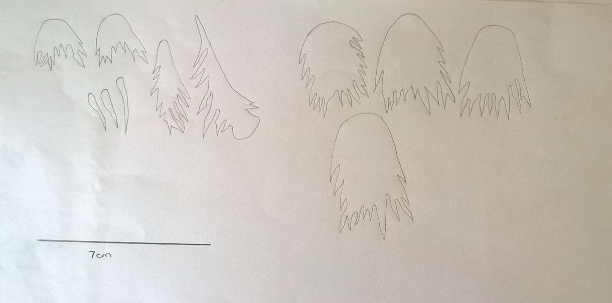 Guidance On How To Make Your Own Papercut Cute Sloth