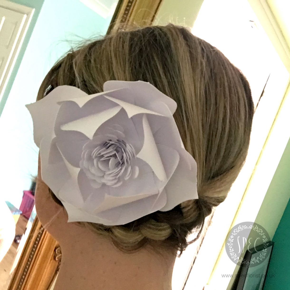 Paper fascinators